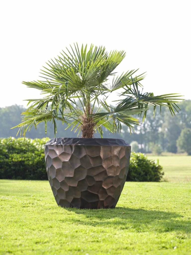 Grote bloempot - Bloombak.nl - Gratis in huis - Voor Buiten & vanaf 100 cm